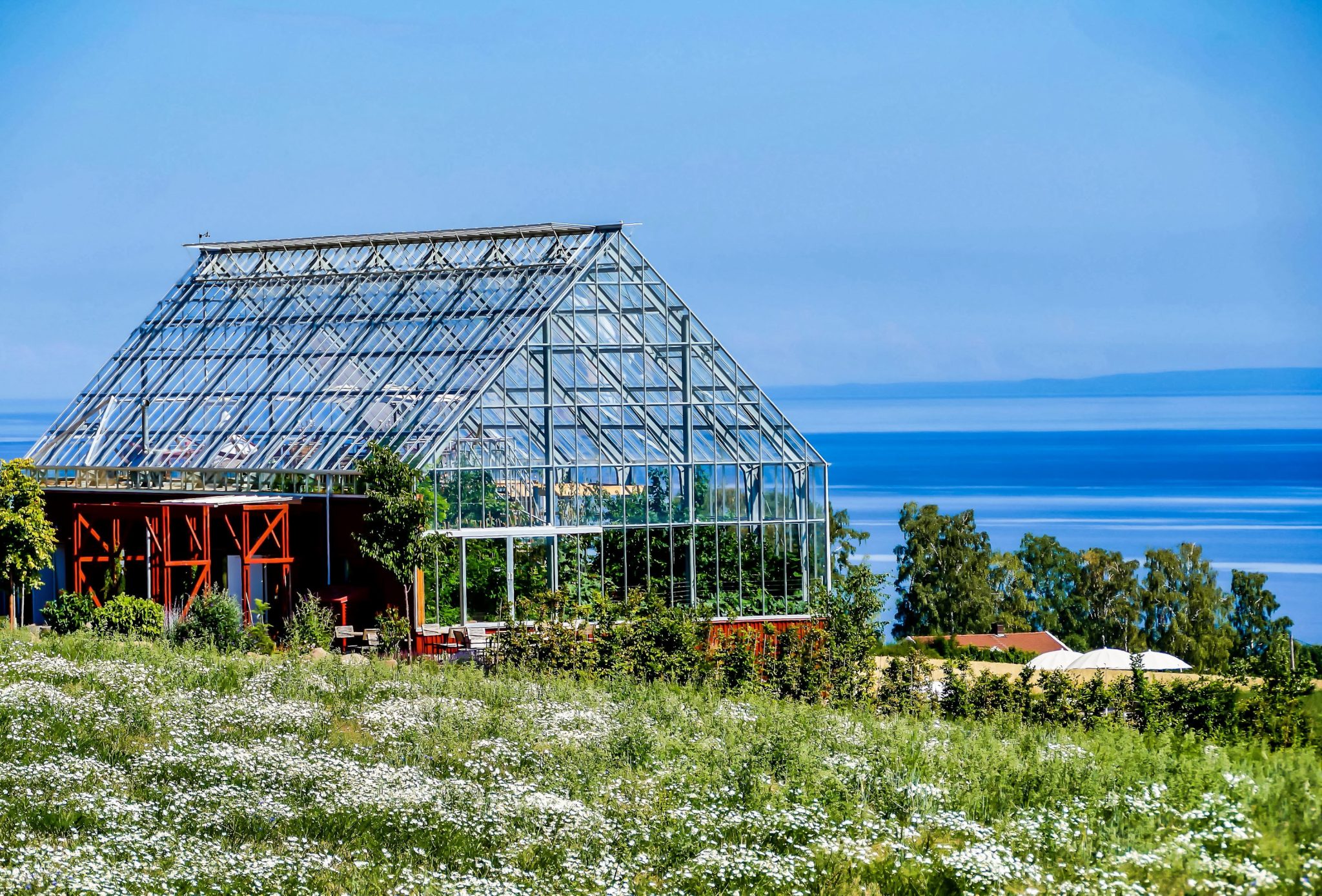 What Is A Gothic Arch Greenhouse Used For? 10 Best Uses - SimbaGreenhouse