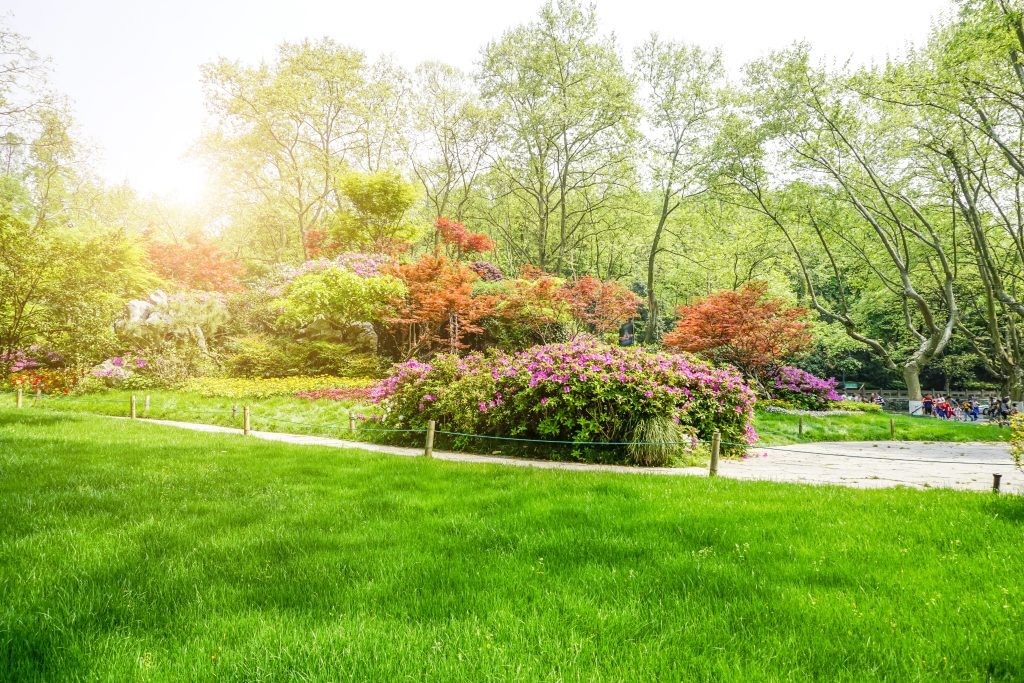 10 Best Fertilizer For Grass In Spring - SimbaGreenhouse